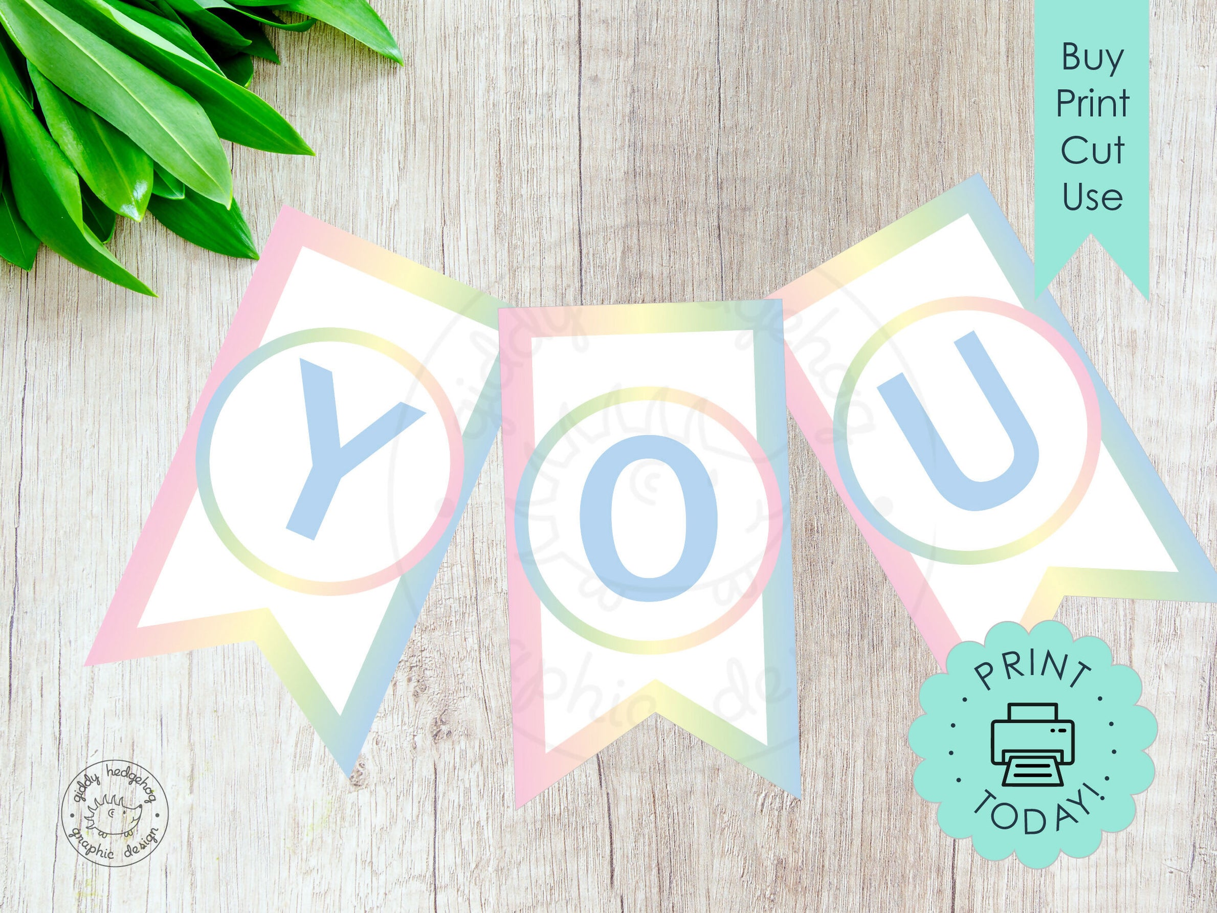 Rainbow decorations, Rainbow theme party, Rainbow party, Rainbow bi...