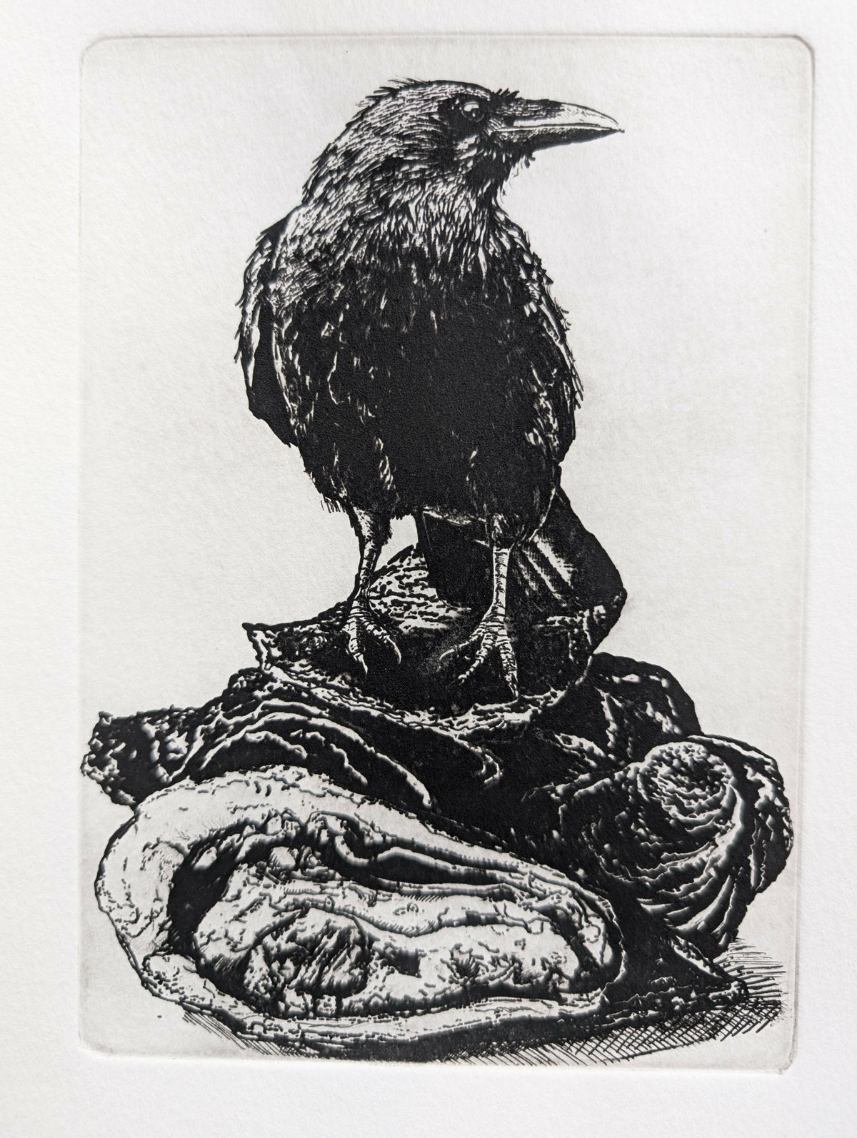 Raven artwork, Raven, crow, Etching, Raven wall art, Oysters, Crow ...