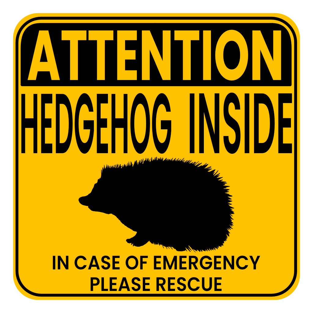 hedgehog; safety; rescue; travelling with pets; original design; ha...
